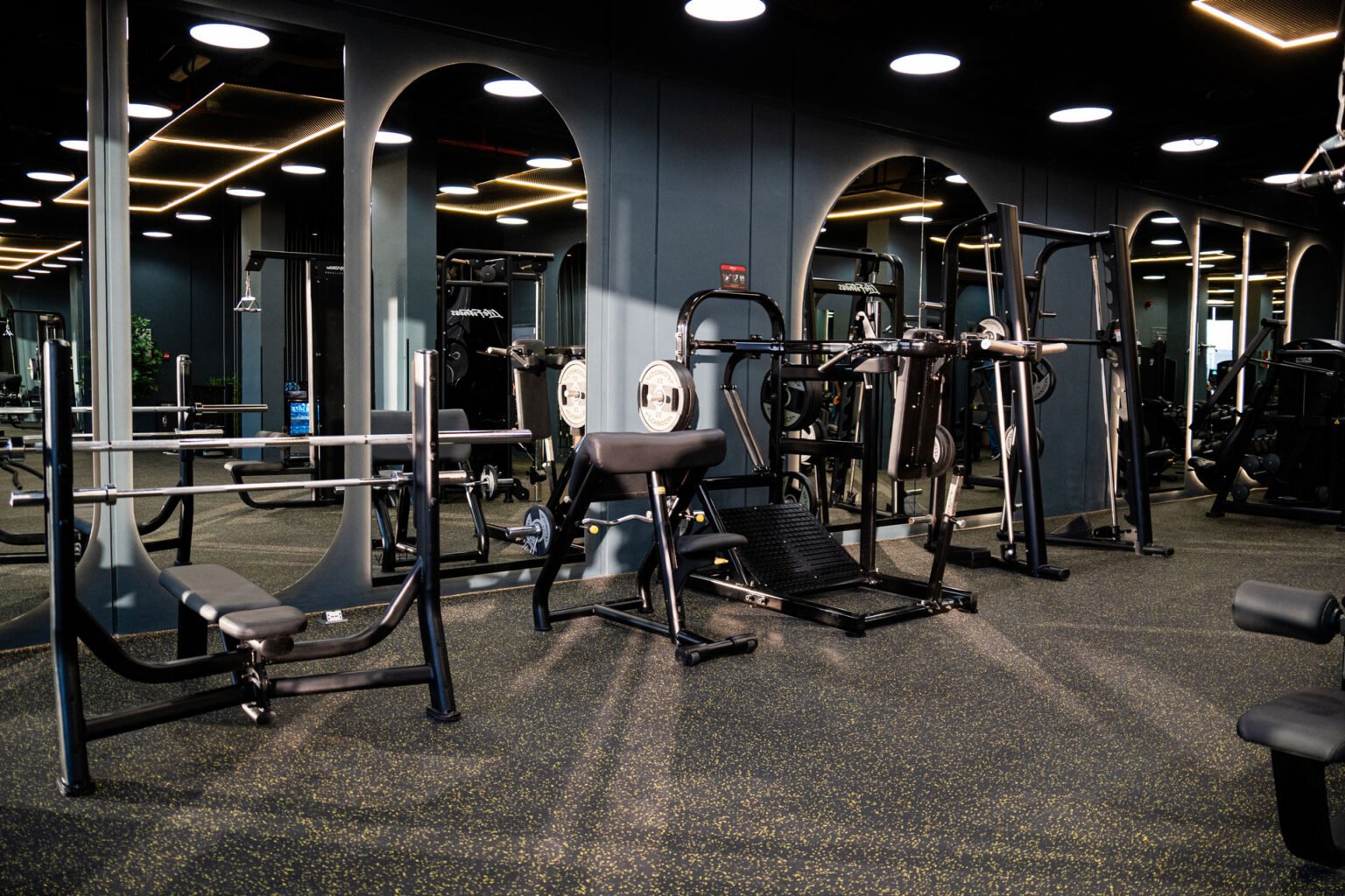 VI-FIT | The Perfect Form